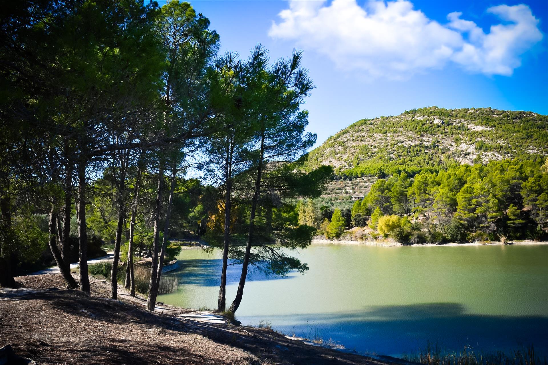 El Bosquet (Moixent) - Turisme La Costera
